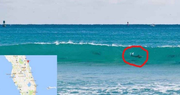 Worst Beaches In Florida