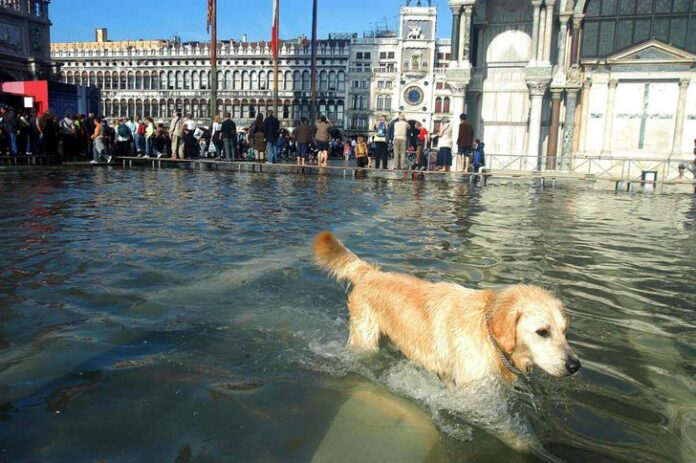 The Famous Canals of Venice Without Water — 8 Photos Worth Seeing ...