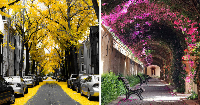 10 Most Beautiful flowered Streets in the World | This is Italy | Page 6