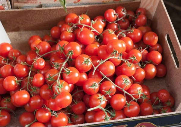 Τhe World Famous Tomatoes from Italy | This is Italy