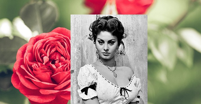 Top 8 Best Italian Actresses | This is Italy