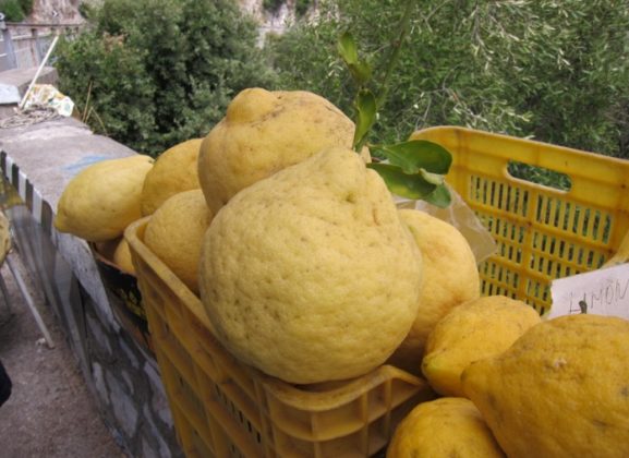The Giant Lemons of the Amalfi Coast in Italy | This is Italy