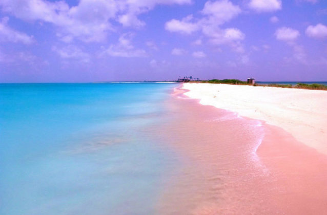 10 Wonderful Pink Beaches in the World | This is Italy | Page 6