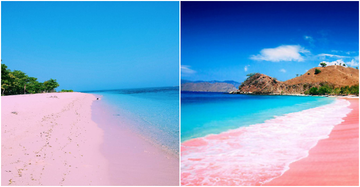 10 Wonderful Pink Beaches in the World | This is Italy | Page 4