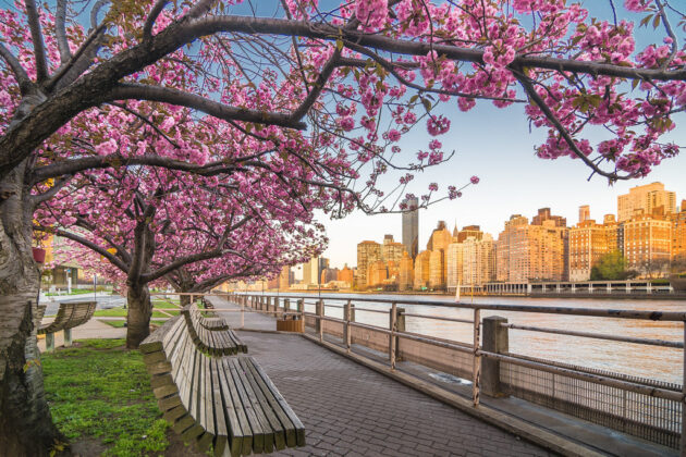 10 Most Beautiful Flower Cities in the World | This is Italy | Page 7