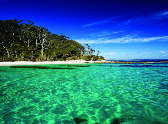 7 Beaches To Visit If You Love Animals | This is Italy | Page 3