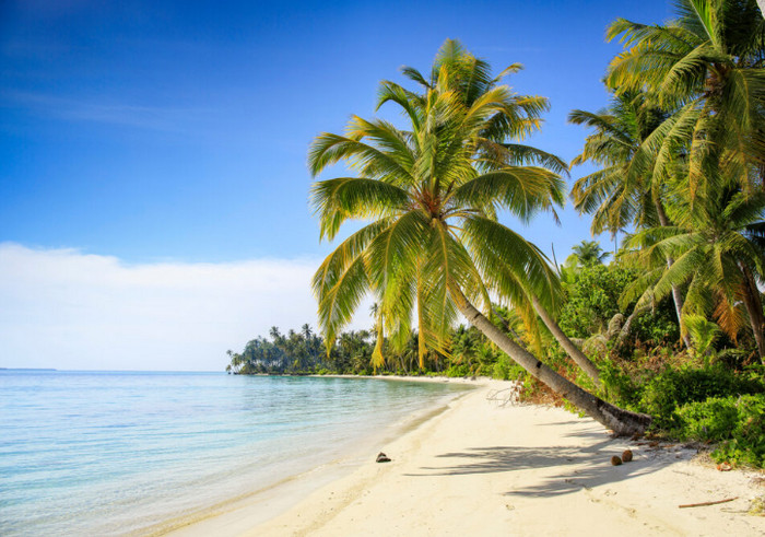 Top 10 Largest Islands in the World | This is Italy | Page 6