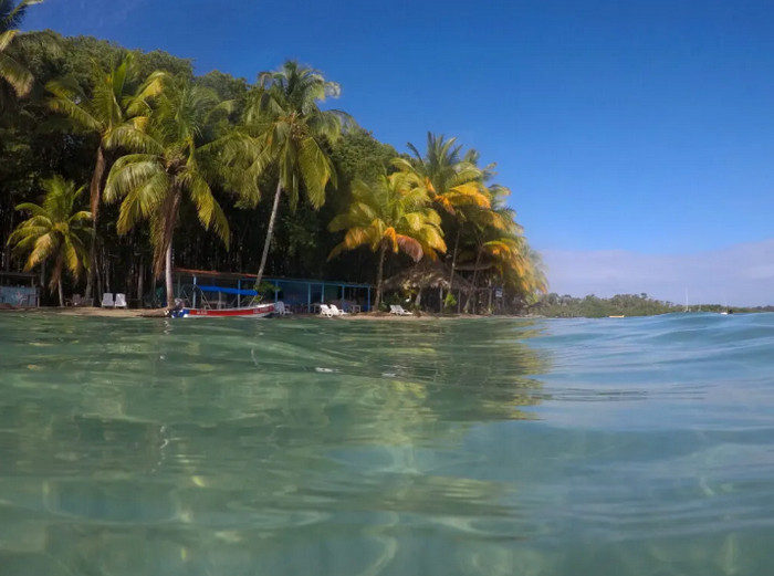 10 Private Islands You Can Rent for just Under $100 per Day | This is ...